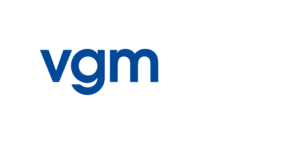 VGMorph | Voxel-guided morphometry ("VGM") and application to stroke